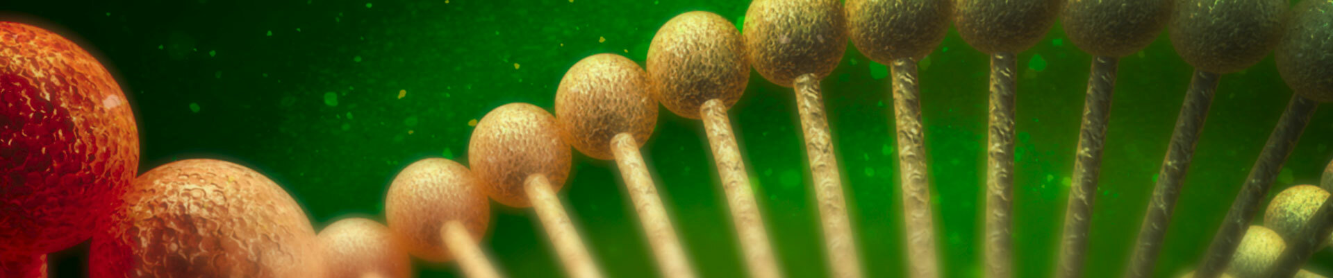 Serving up food for thought that's good for your… | Art of Multimedia